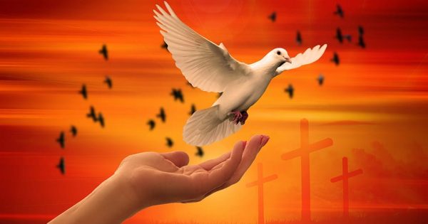 50 Popular Bible Verses About The Holy Spirit | Christian.net