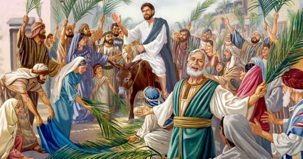 The Significance Of A Palm Branch | Christian.net