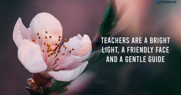 40 Bible Verses For Teachers [With Downloadable Images] | Christian.net